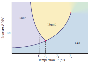 [Solved] A sample of liquid water at atmospheric p | SolutionInn