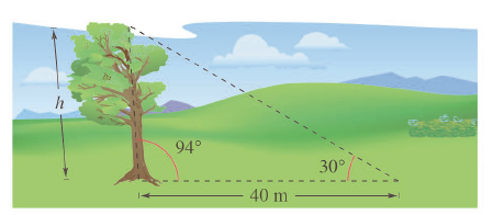 [Solved] A tree grows at an angle of 4° from t | SolutionInn