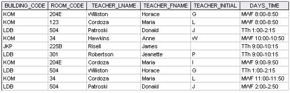 [Solved] Identify and discuss the serious data redundancy problems exhibited by | SolutionInn