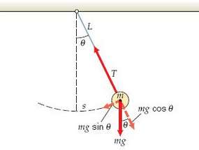 [Solved] The forces acting on a simple pendulum ar | SolutionInn