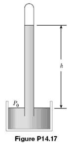 [Solved] Blaise Pascal duplicated Torricellis baro | SolutionInn