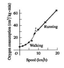 [Solved] Figure 6.40 shows the oxygen consumption | SolutionInn