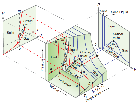 [Solved] Show the paths n o p q and a b c d e f of | SolutionInn