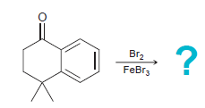 [Solved] When the following compound is treated wi | SolutionInn