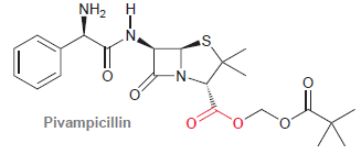 [Solved] Pivampicillin is a penicillin prodrug: The prodrug ester ...