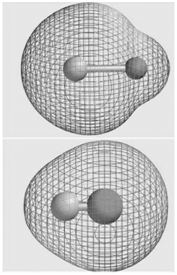 [Solved] The molecular electrostatic potential map | SolutionInn