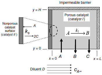 [Solved] Consider the catalytic reaction process s | SolutionInn