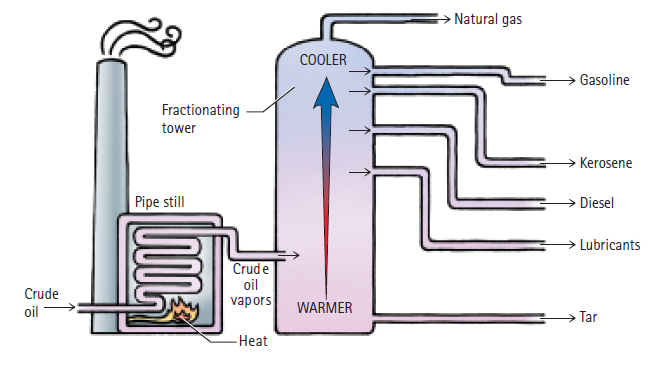 [Solved] According to Figure 19.3, which has the h | SolutionInn