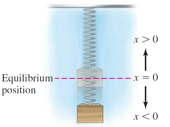 [Solved] A spring hangs from the ceiling at equili | SolutionInn