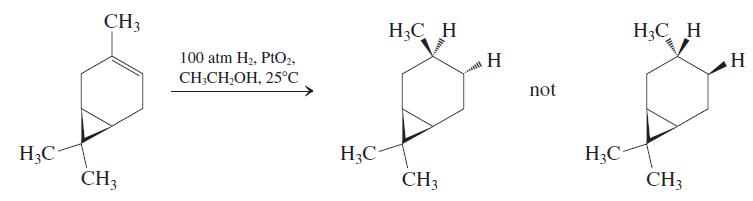 [Solved] The bicyclic alkene car-3-ene, a constitu | SolutionInn