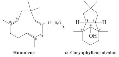 [Solved] Humulene and a-caryophyllene alcohol are | SolutionInn