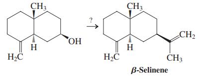 [Solved] Propose a synthesis of b-selinene, a memb | SolutionInn
