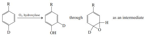 [Solved] Biochemical oxidation of aromatic rings i | SolutionInn