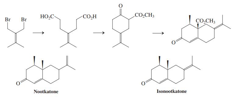 [Solved] The nootkatones are bicyclic ketones resp | SolutionInn
