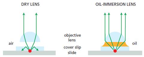 [Solved] The diagrams in Figure Q9–1 show the pa | SolutionInn