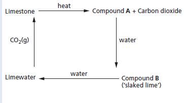 [Solved] This question is about the limestone cycl | SolutionInn