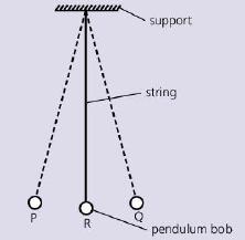 [Solved] The diagram below shows a simple pendulum | SolutionInn