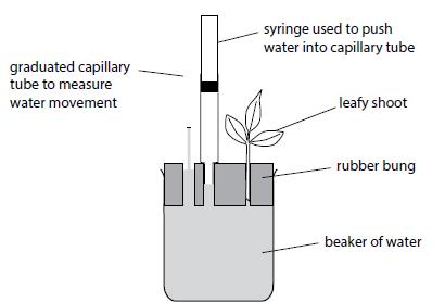 [Solved] The figure shows one type of potometer us | SolutionInn