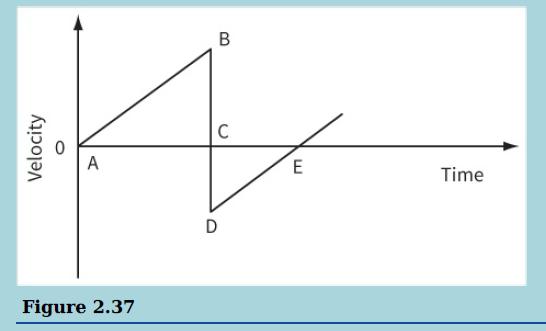 [Solved] This is a velocitytime graph for a vertic | SolutionInn
