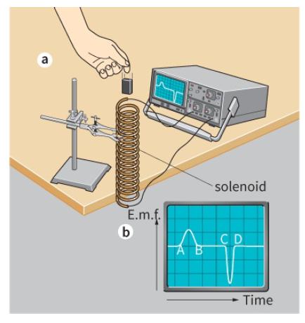 [Solved] A bar magnet is dropped vertically downwa | SolutionInn