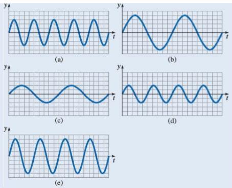 [Solved] Rank the waves in order of amplitude, lar | SolutionInn