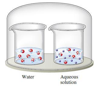 [Solved] The two beakers in the sealed container i | SolutionInn