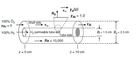 [Solved] Consider the concentric tubular mass tran | SolutionInn