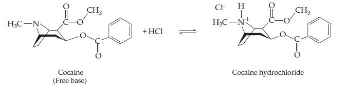[Solved] The free-base form of cocaine (C 17 H 21 | SolutionInn