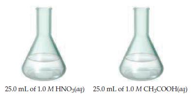 [Solved] The samples of nitric and acetic acids sh | SolutionInn