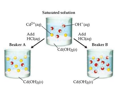 [Solved] A saturated solution of Cd(OH) 2 is shown | SolutionInn