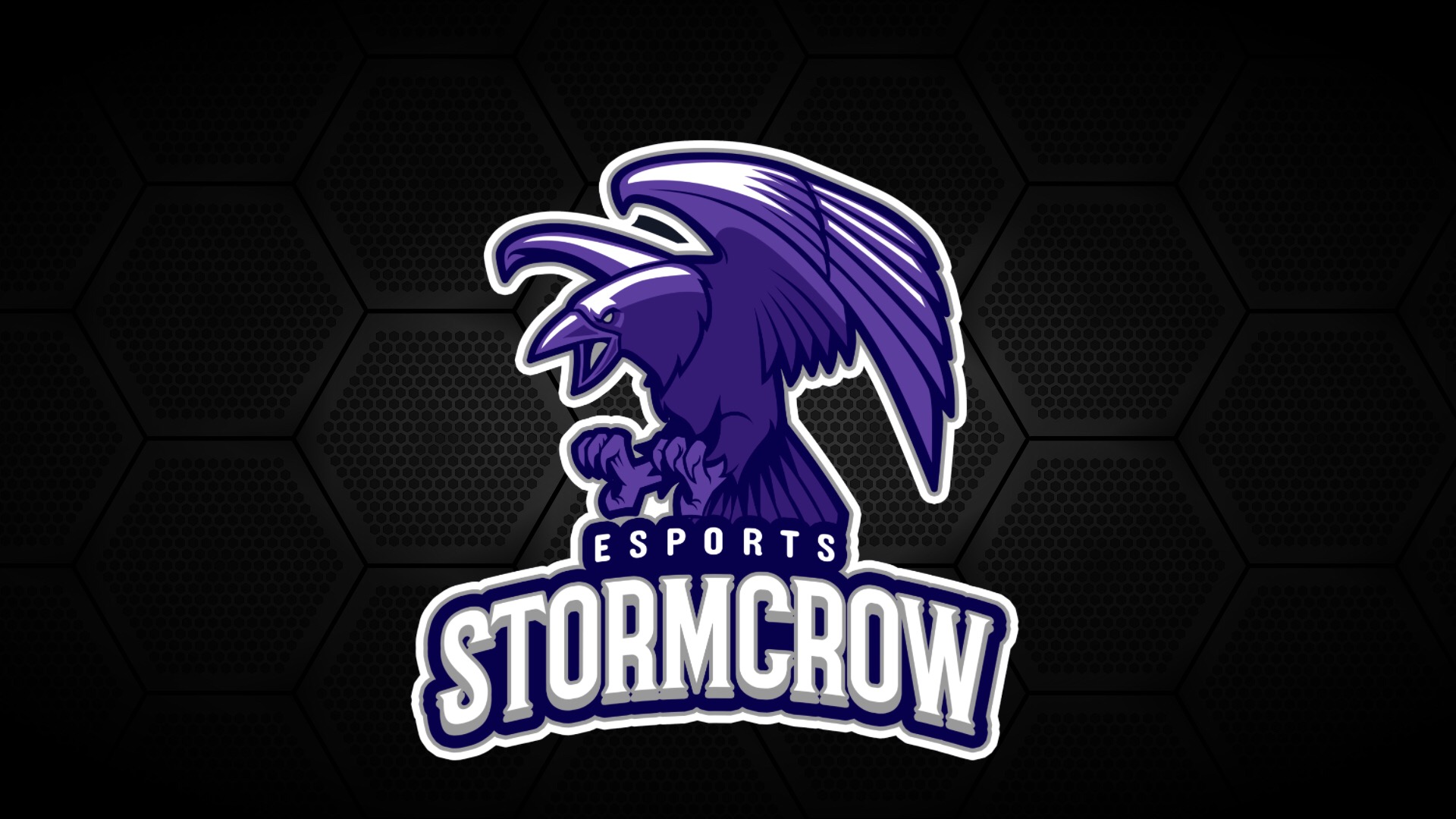 siegrs-gg-rainbow-6-siege-team-finder