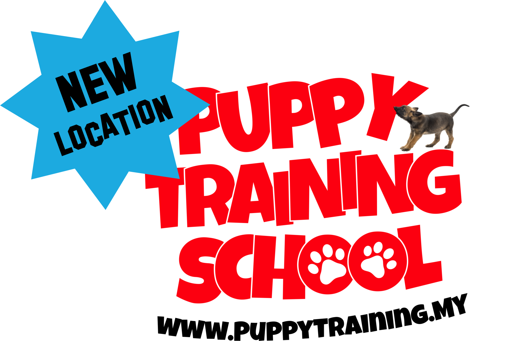 Off-Leash Puppy Training