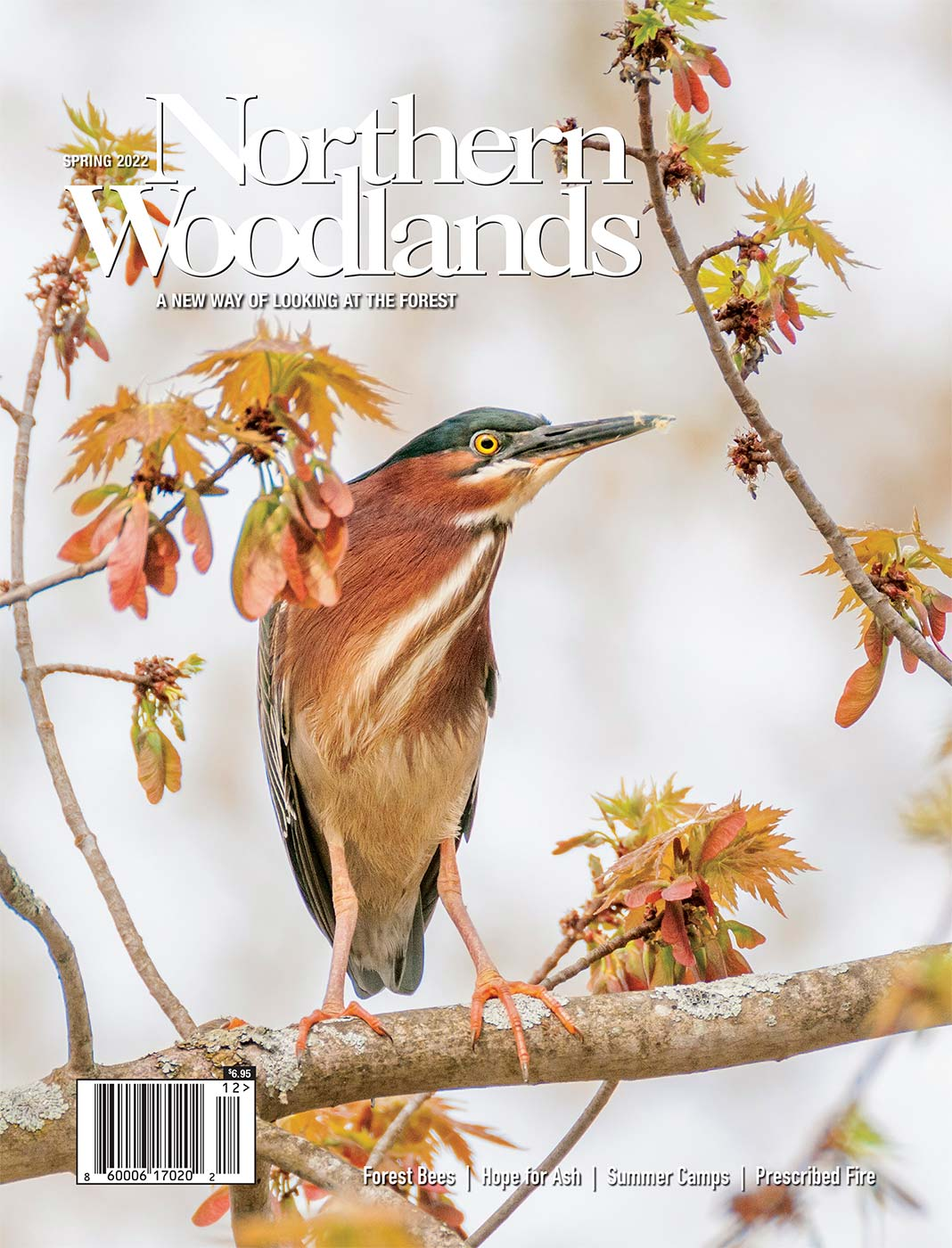Subscribe to Northern Woodlands