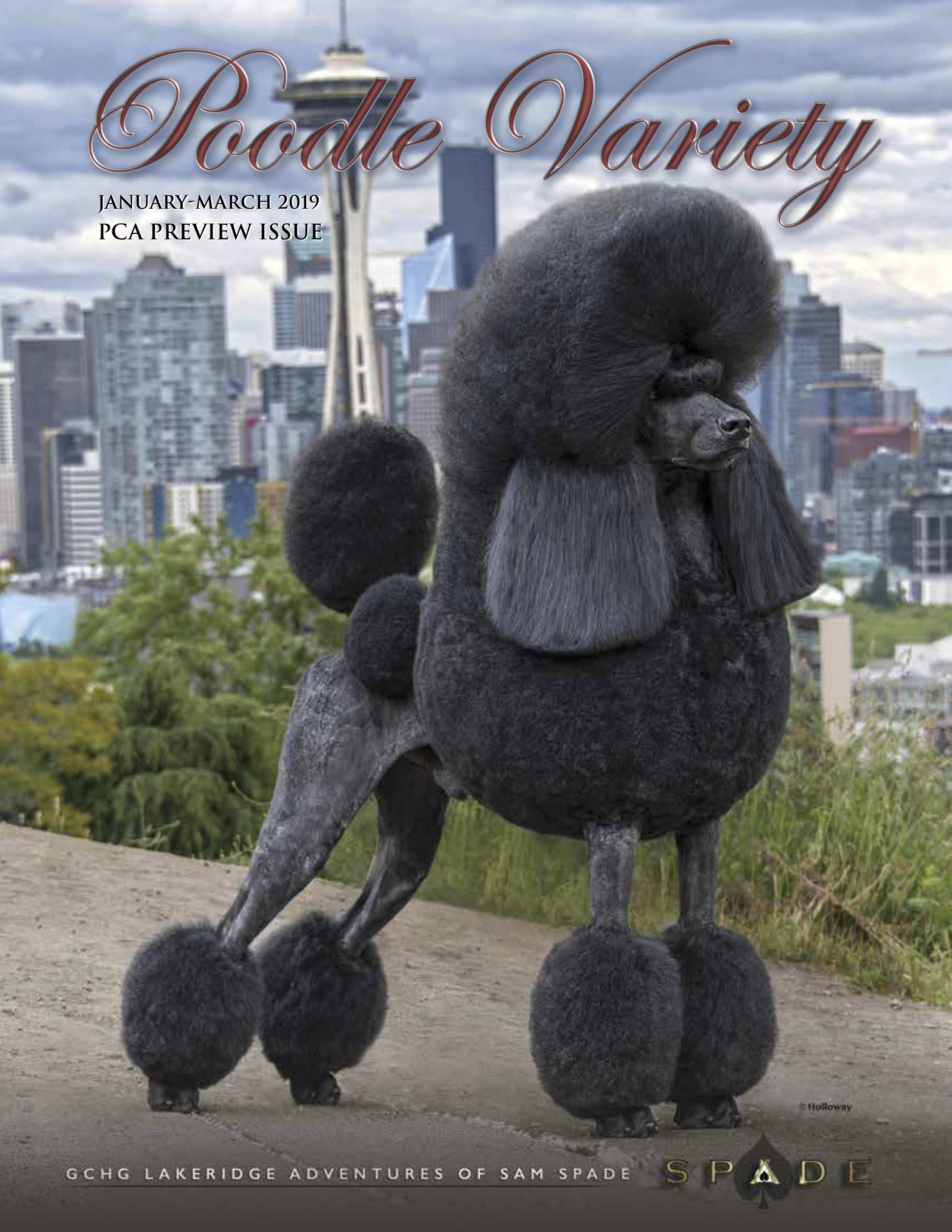 Subscribe to Poodle Variety