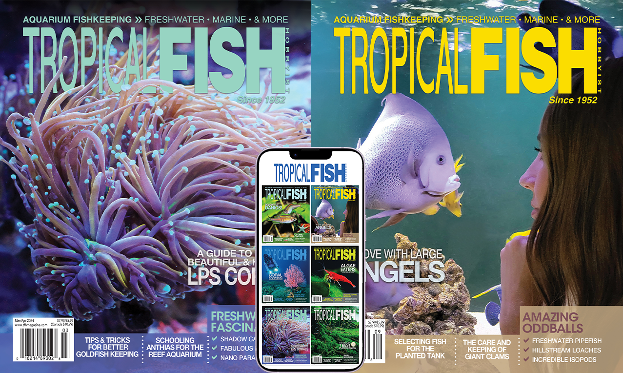 Shop Tropical Fish Hobbyist Magazine