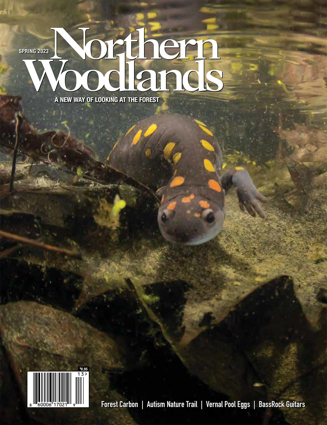 Gift a subscription to Northern Woodlands