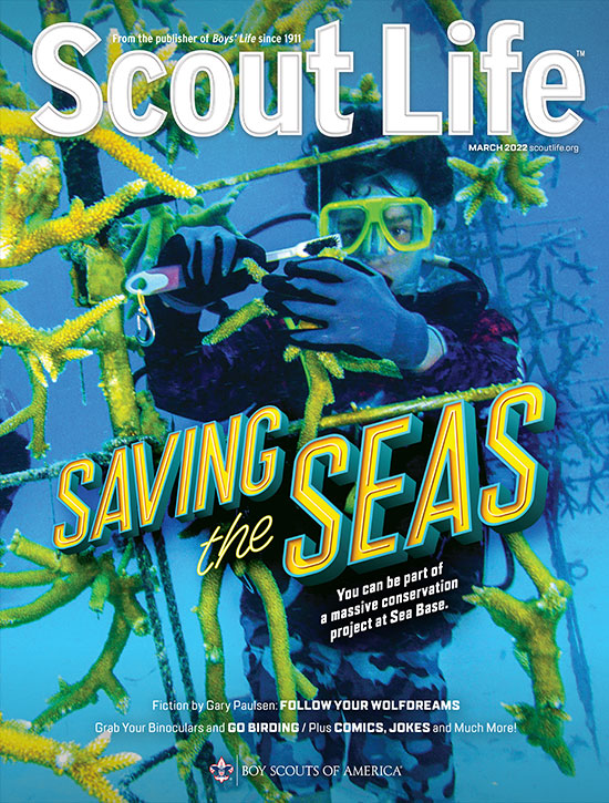 Shop Scout Life - Back Issues