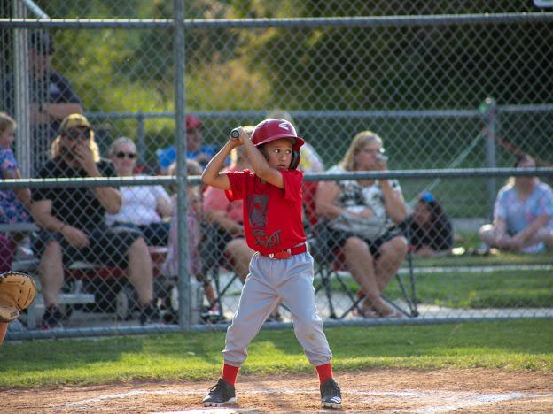 Home [rosepark-baseball.com]