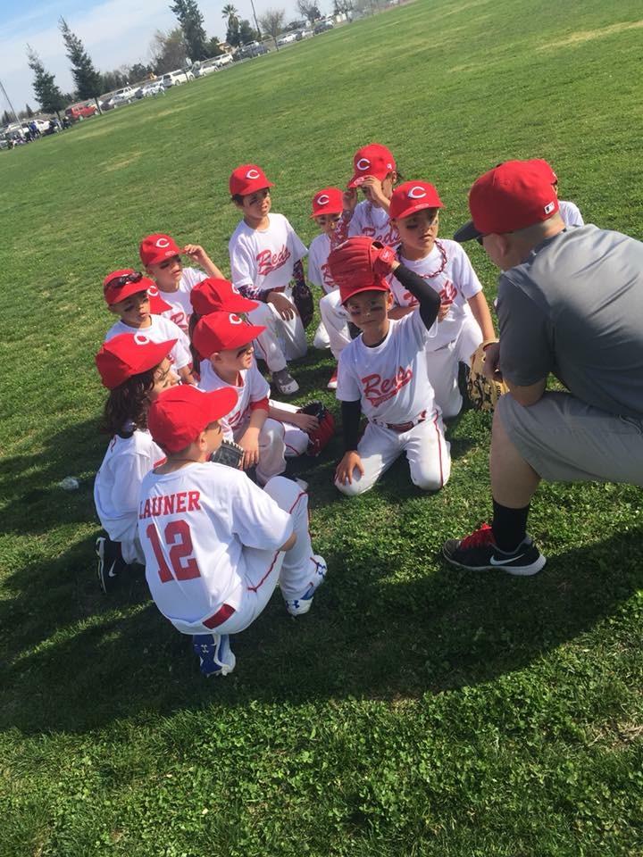 Central Youth Cal Ripken League