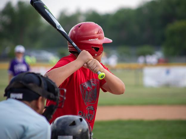 Home [rosepark-baseball.com]