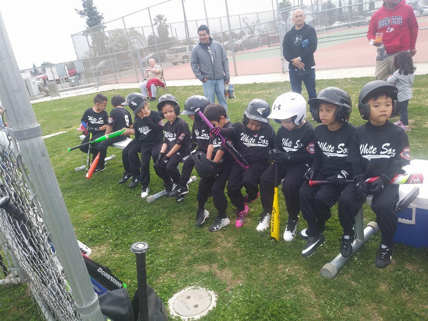 Central Youth Cal Ripken League