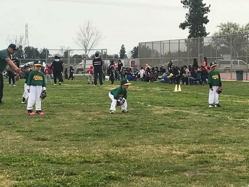 Central Youth Cal Ripken League