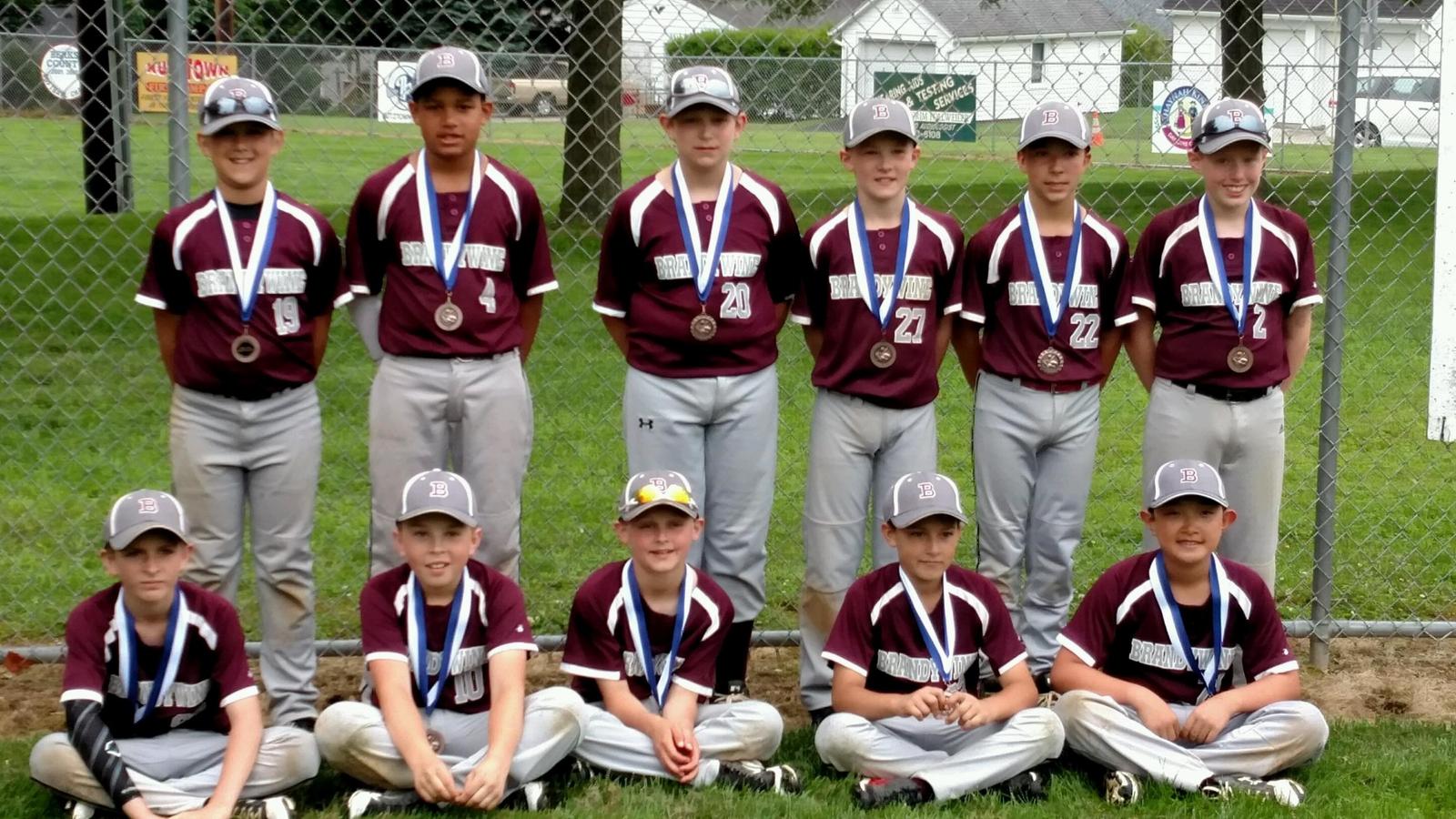 Home [www.brandywinebaseball.com]