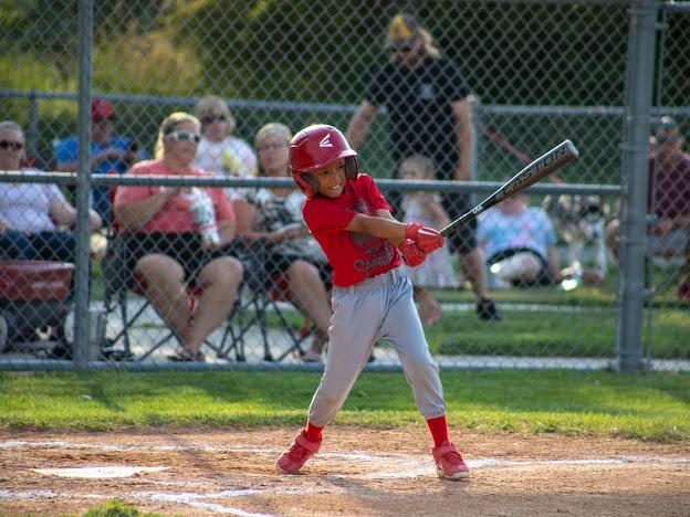 Home [rosepark-baseball.com]