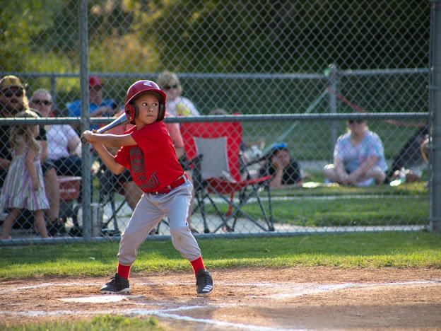 Home [rosepark-baseball.com]