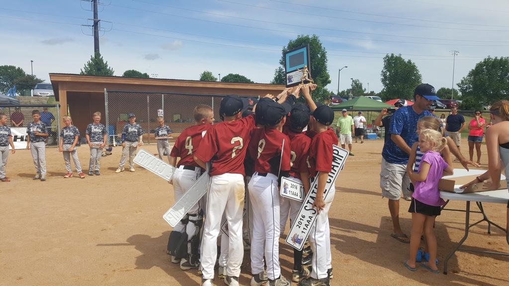 Home [www.lakevillebaseball.org]