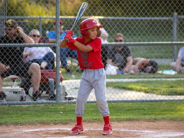 Home [rosepark-baseball.com]