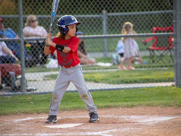 Home [rosepark-baseball.com]