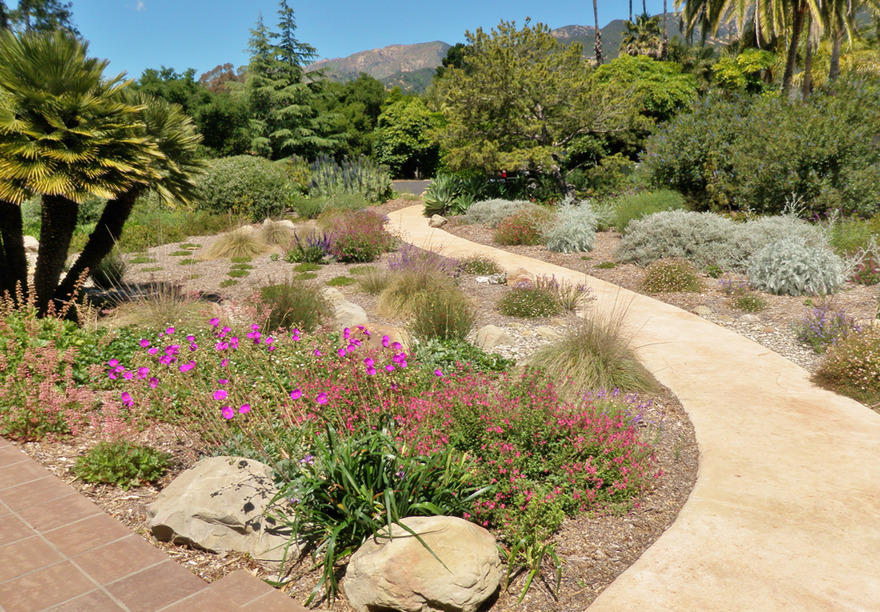 Wilson Environmental Contracting