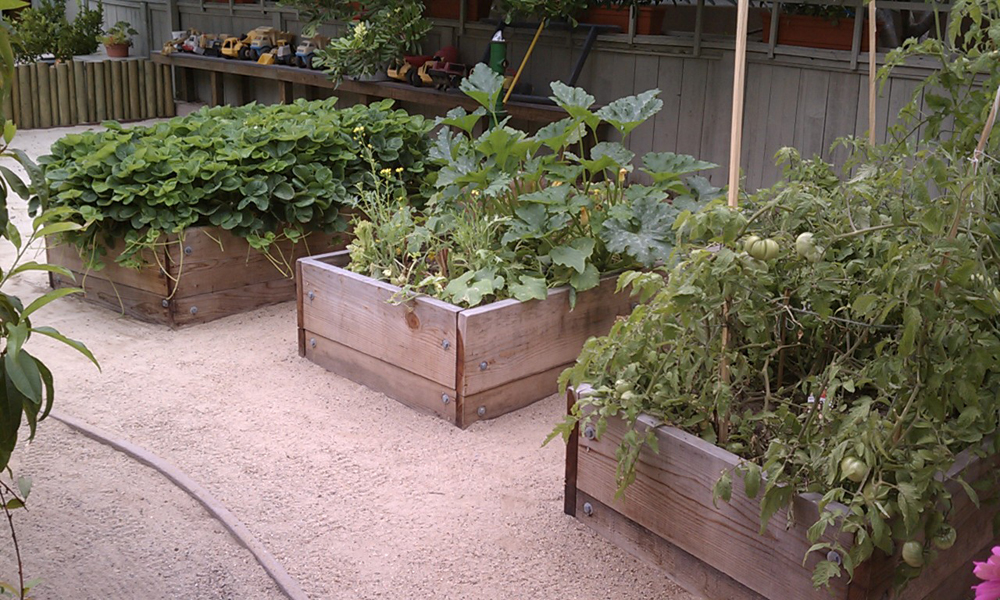 Wilson Environmental Contracting